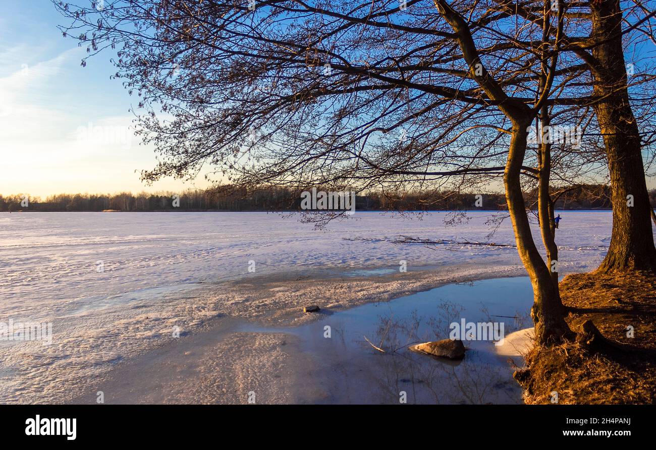 Early spring on a frozen lake. Reflection of sky and tree in water ...