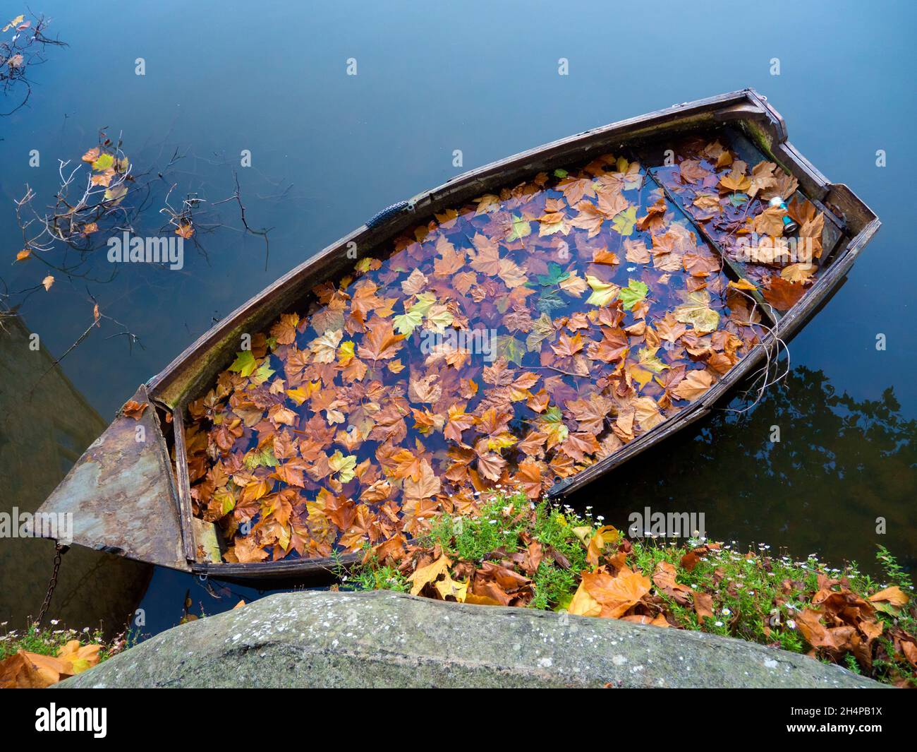 A surreal sight - a sunken rowing boat full of fallen Autumn leaves ...