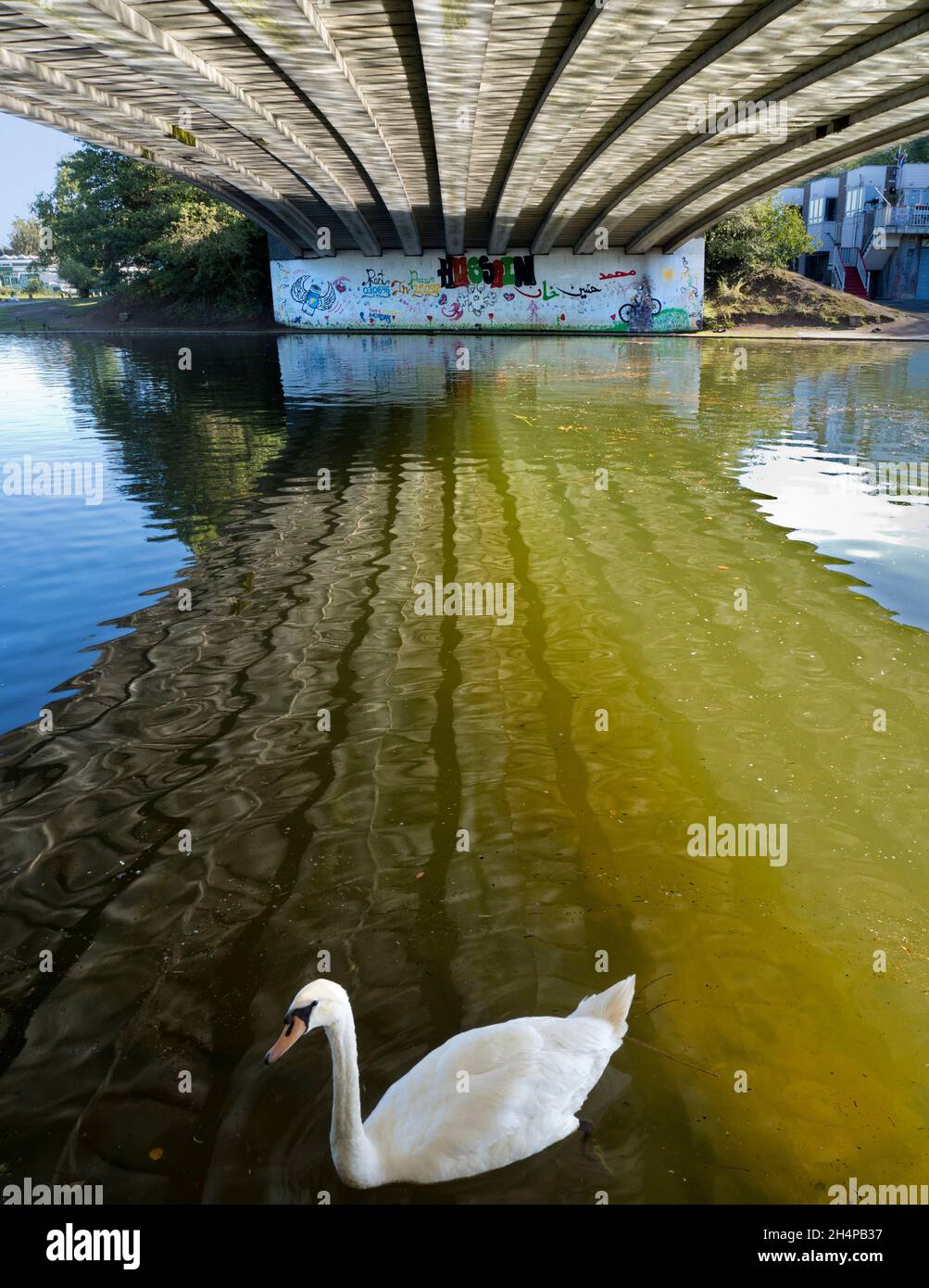 River thames oxford swimming hi-res stock photography and images - Alamy