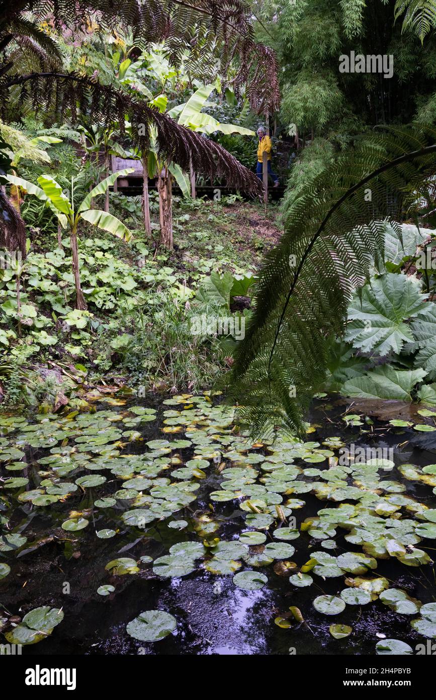 The Lost Gardens of Heligan Cornwall UK - a tourist visitor walking ...