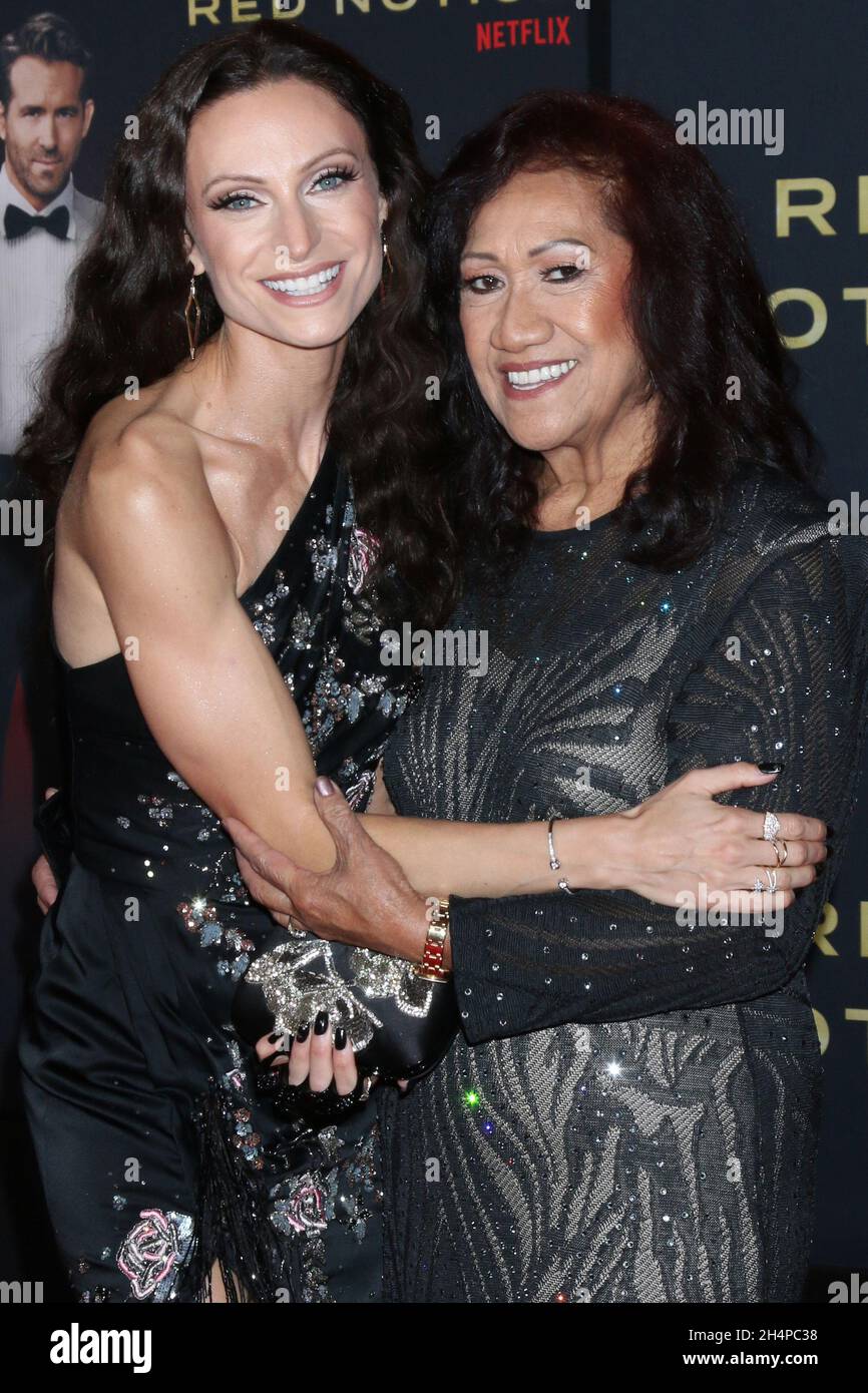 LOS ANGELES - NOV 3: Lauren Hashian, Ata Johnson at the Red Notice ...