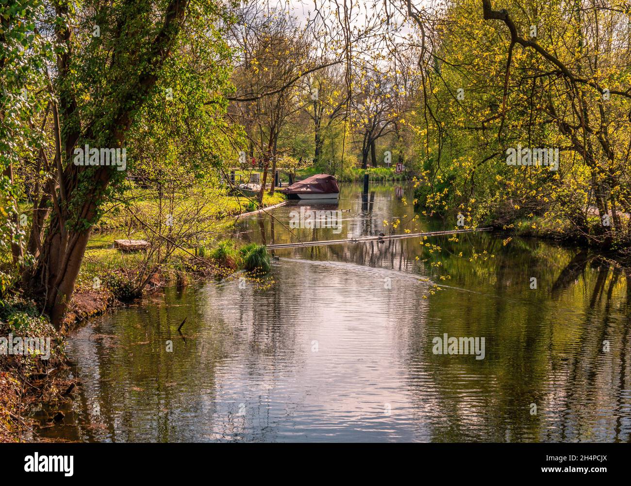 Landscape in the Spreewald in Germany Stock Photo - Alamy