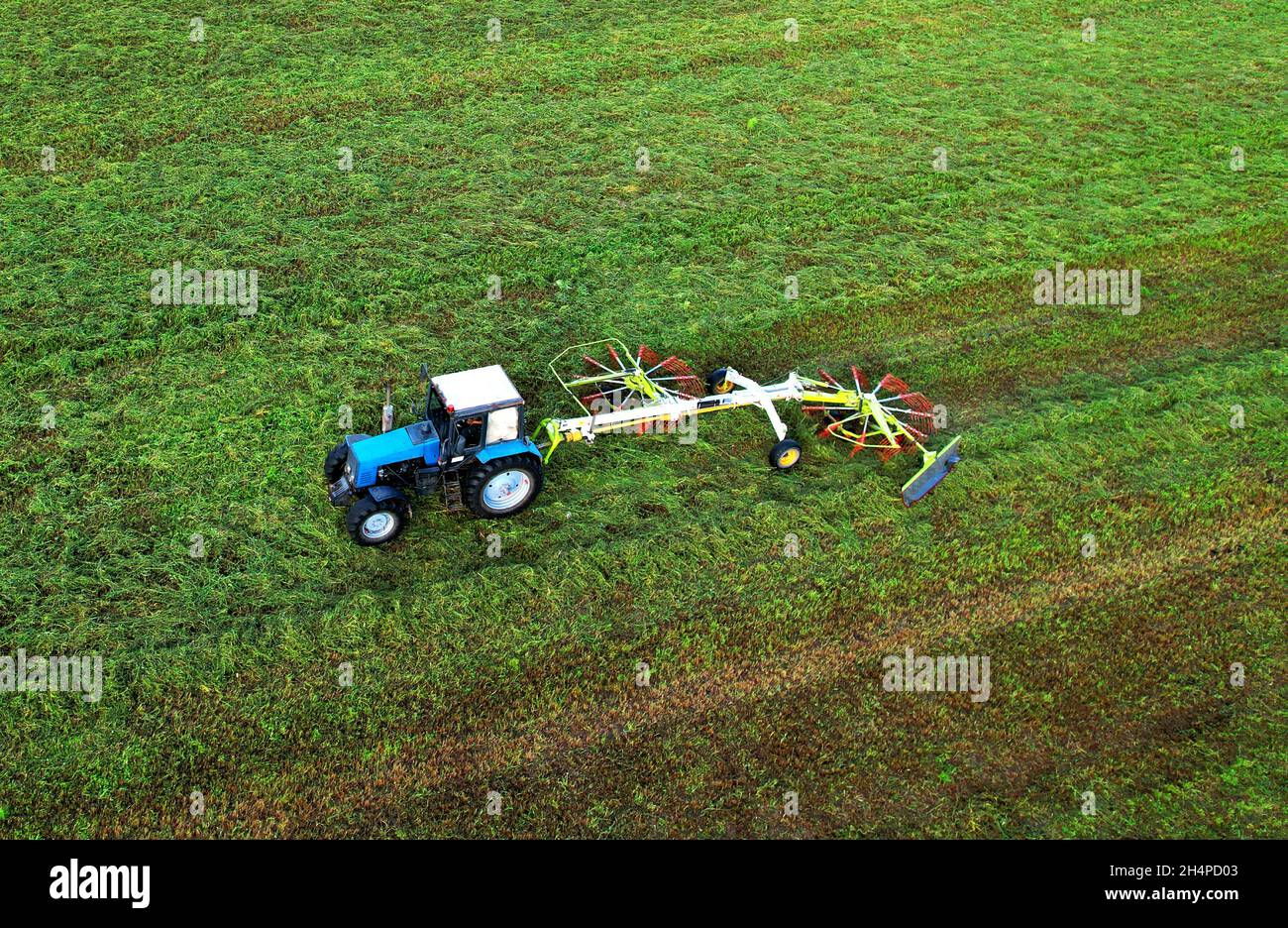 Tractor raking grass for silage harvesting. Agriculture machinery ...
