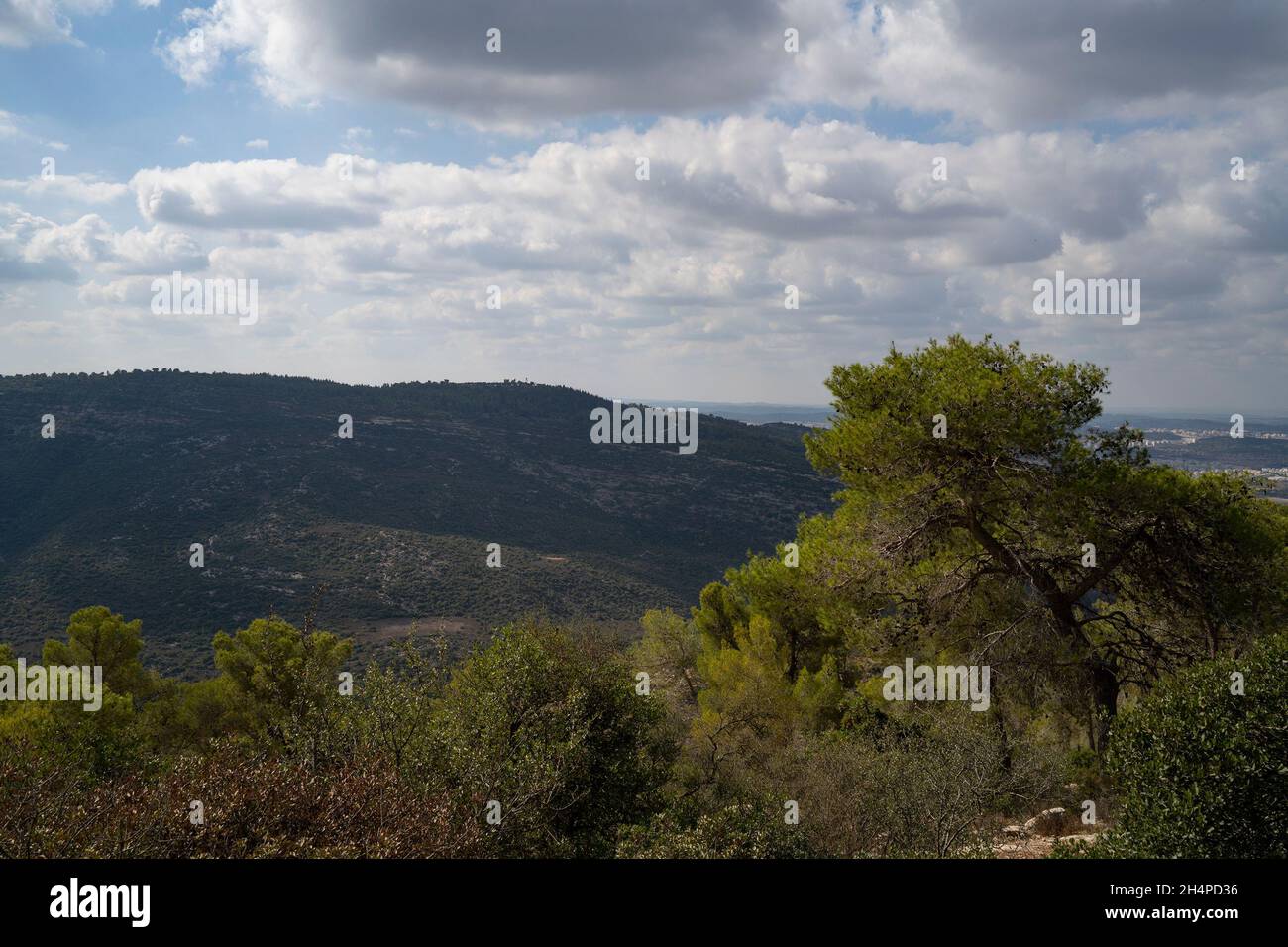 A landscape of the Judea mountains, near Jerusalem, Israel, at autumn ...