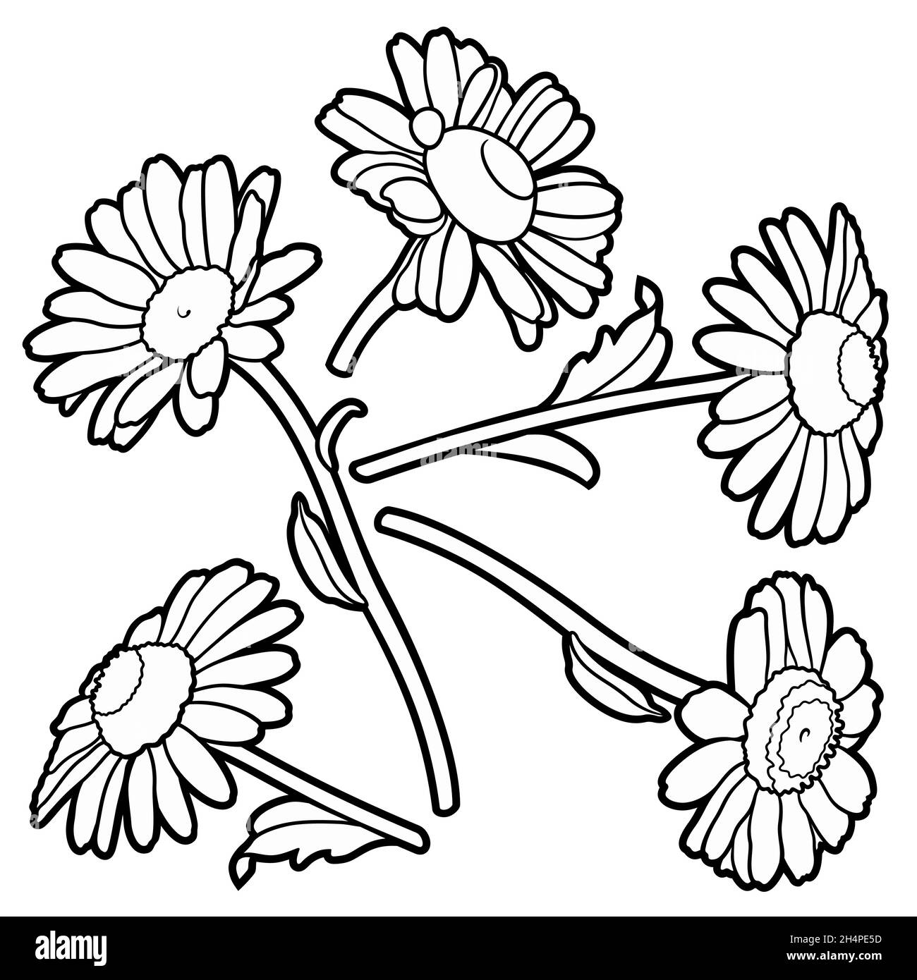 Set of chamomile cartoon hand drawn objects. Vector line art ...