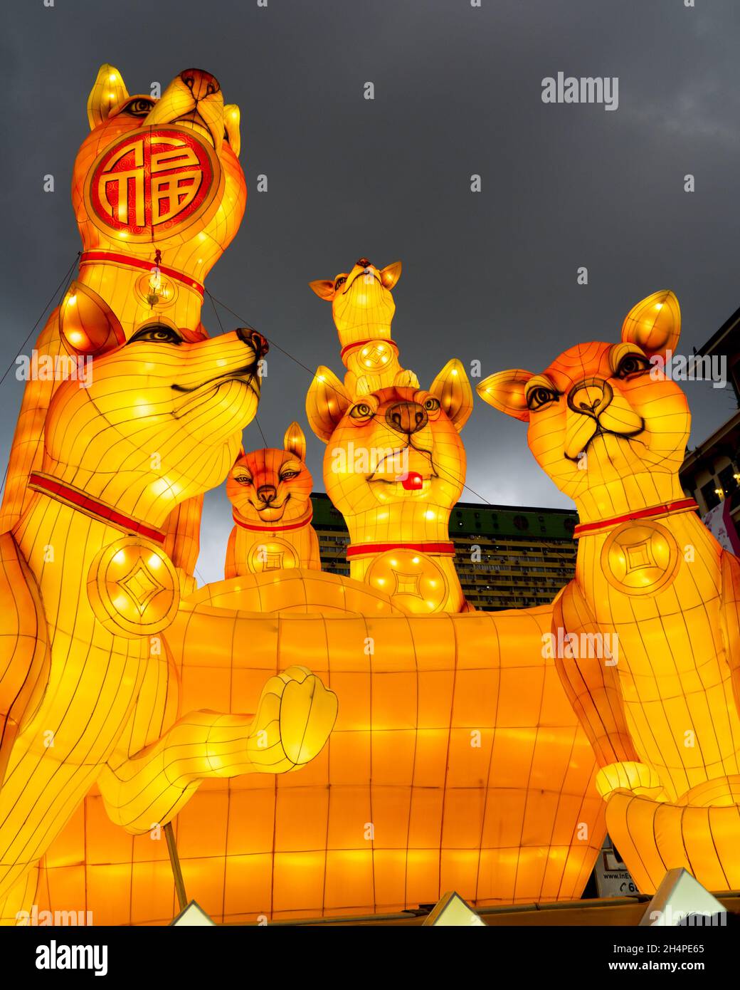 Chinese lantern festival. Bright show. Animal figures Stock Photo - Alamy