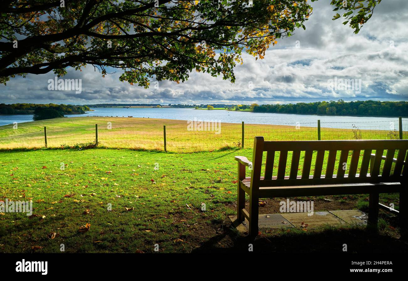 Bench lakeview hi-res stock photography and images - Alamy
