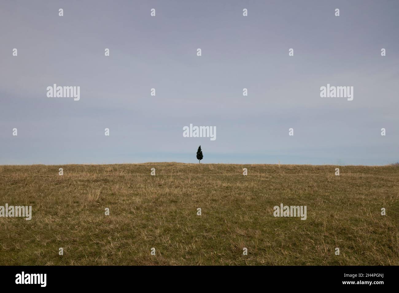 Tree growing earth ecology hi-res stock photography and images - Alamy