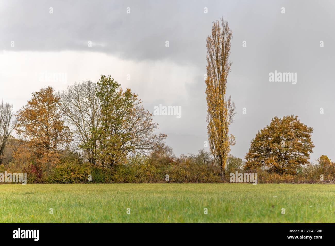 Rainy weather in the countryside in autumn. France, Europe Stock Photo ...