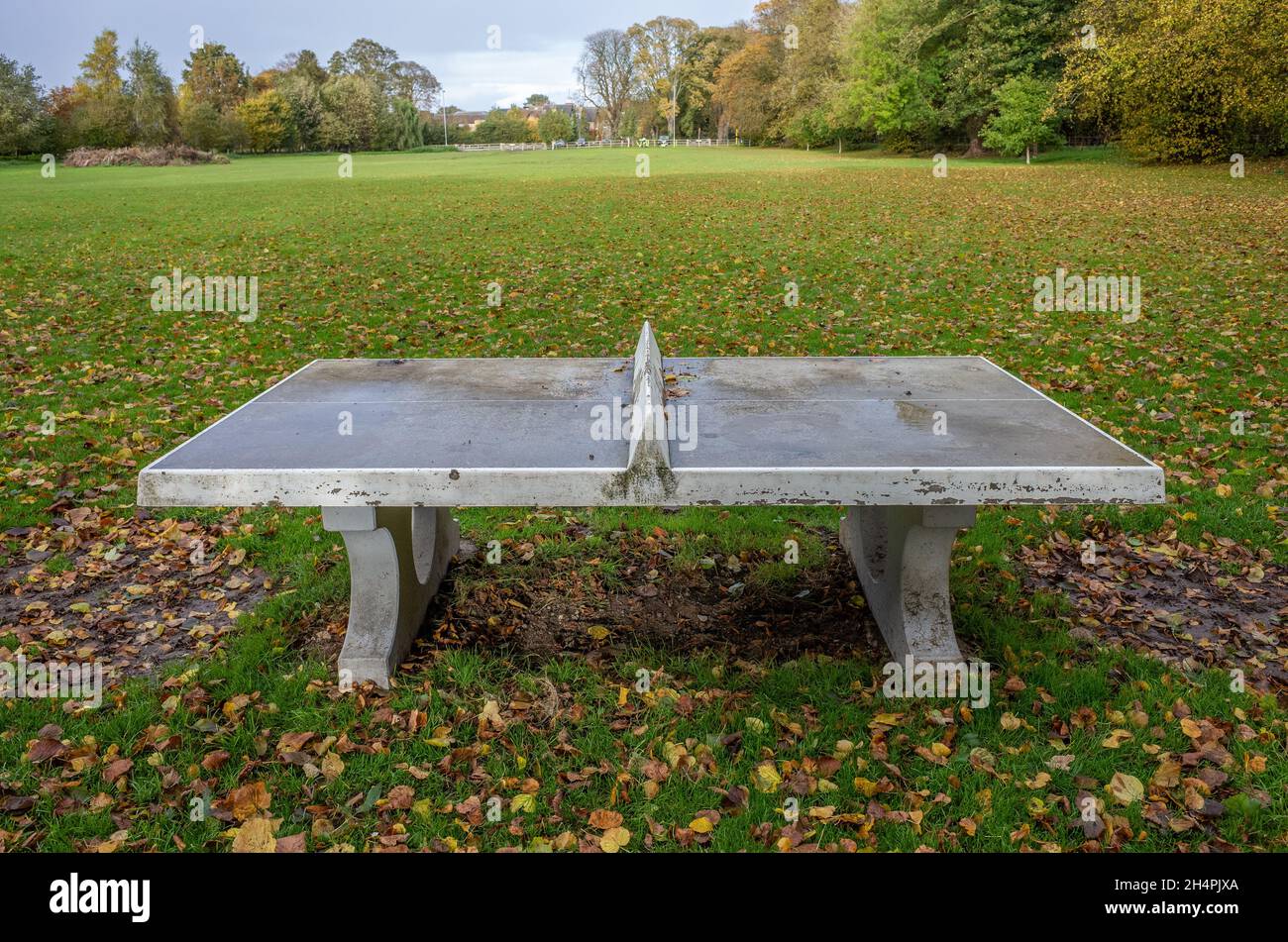 Concrete public table tennis or ping pong table in a green field with ...