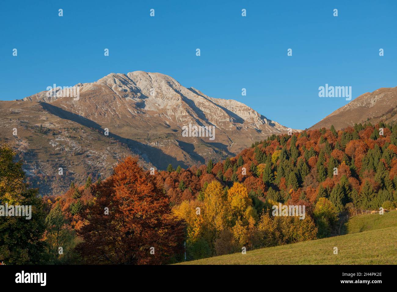 colorful trees in autumn with mountain peak Stock Photo - Alamy