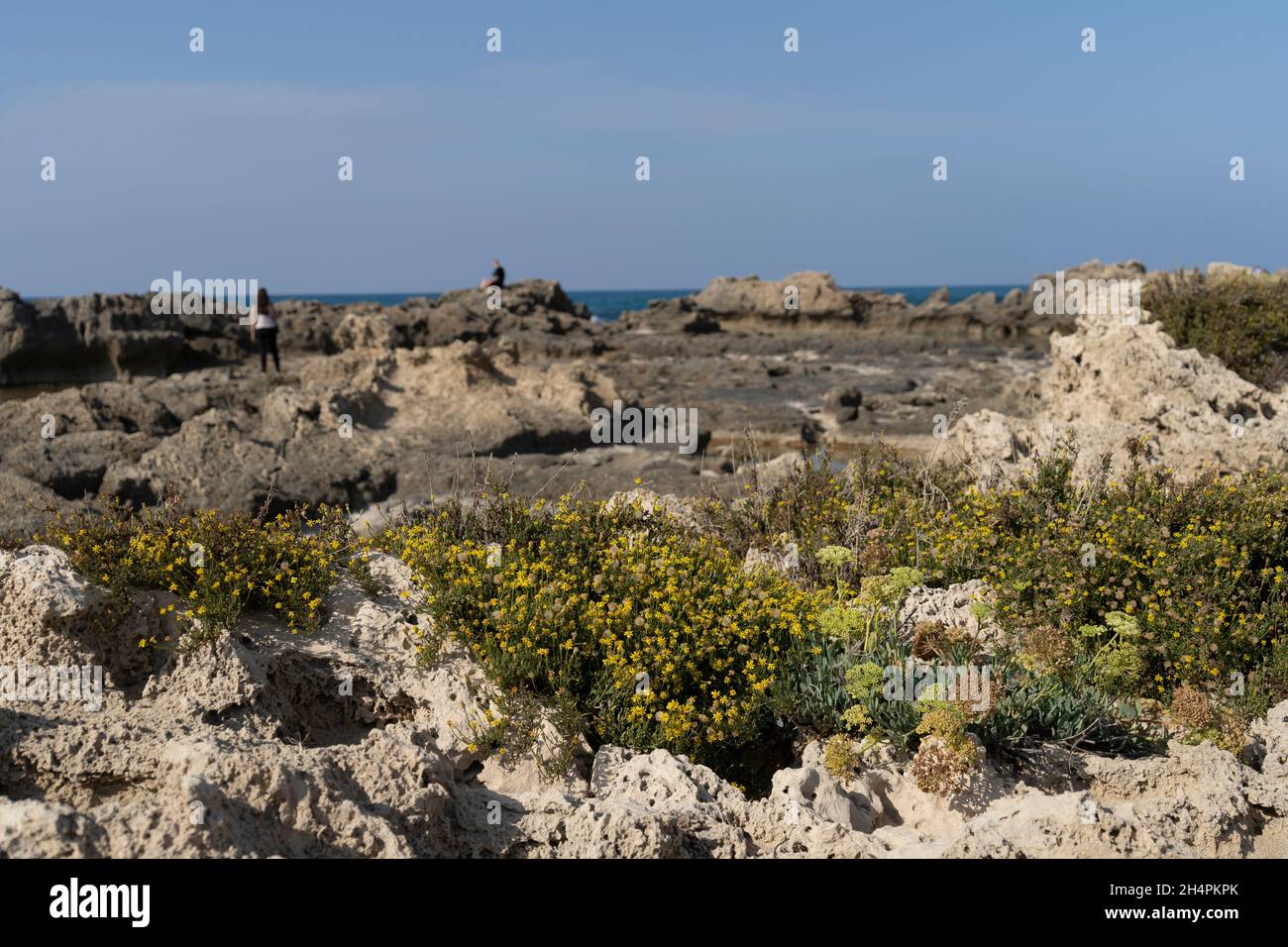 Tel Dor National Site An ancient port on Dor Beach Stock Photo - Alamy
