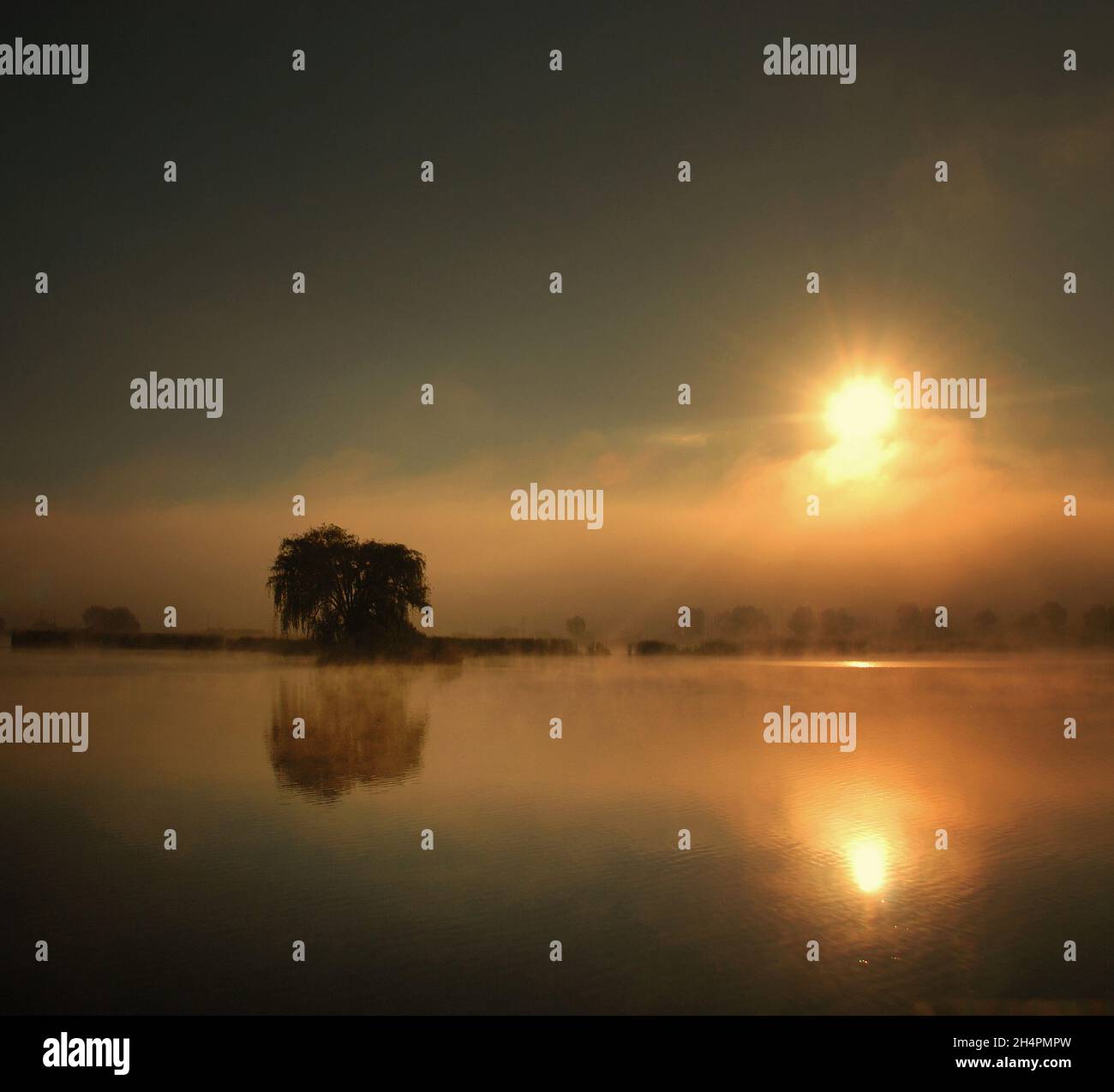 lake, morning, water, sunrise, water, sky, clouds, trees, sun ...