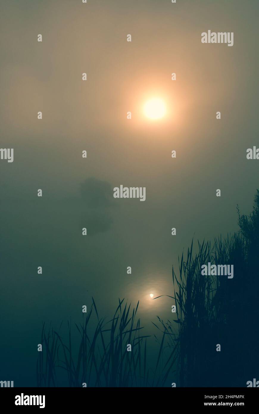 lake, morning, water, sunrise, water, sky, clouds, trees, sun ...