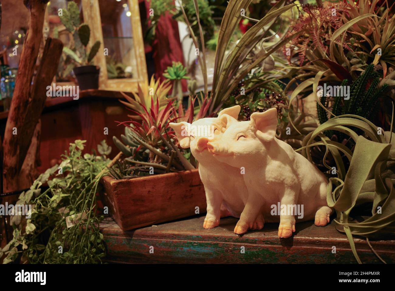 Pig story hi-res stock photography and images - Alamy