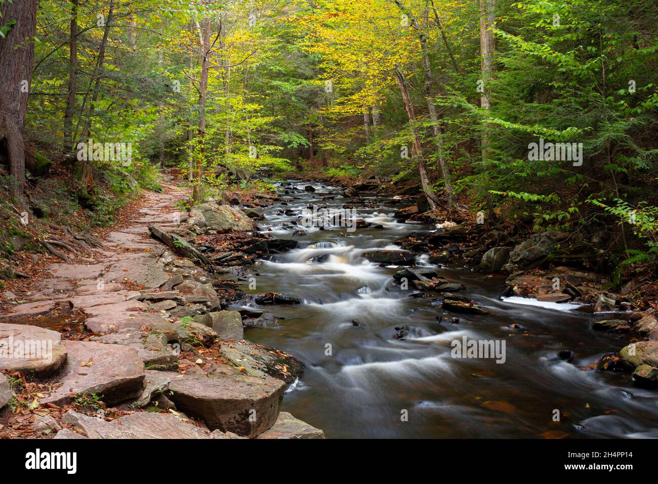 Pennsylvania forests hi-res stock photography and images - Alamy