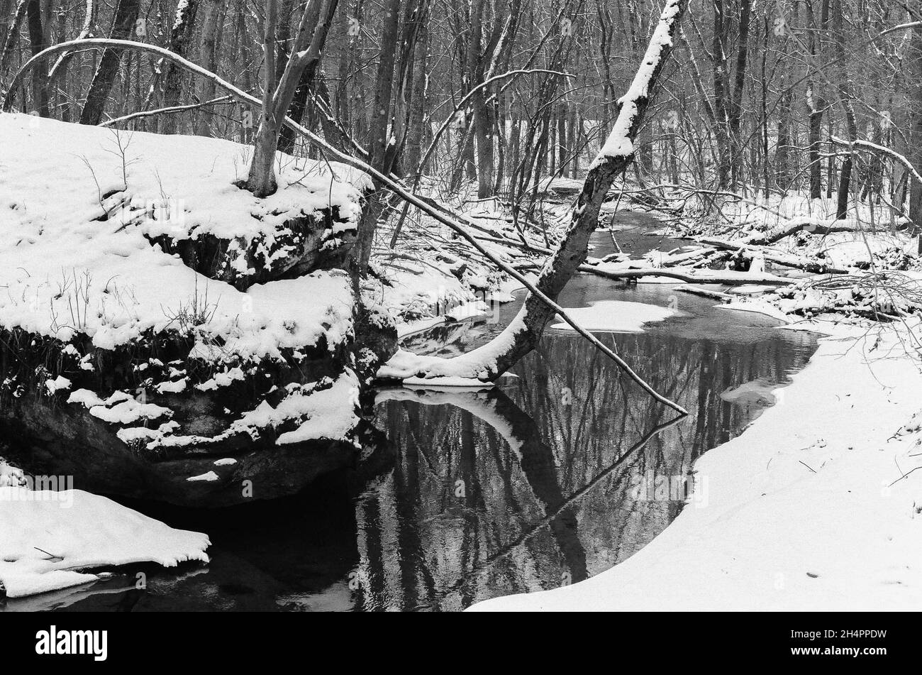 Cold snowy winter afternoon along the creek Stock Photo - Alamy