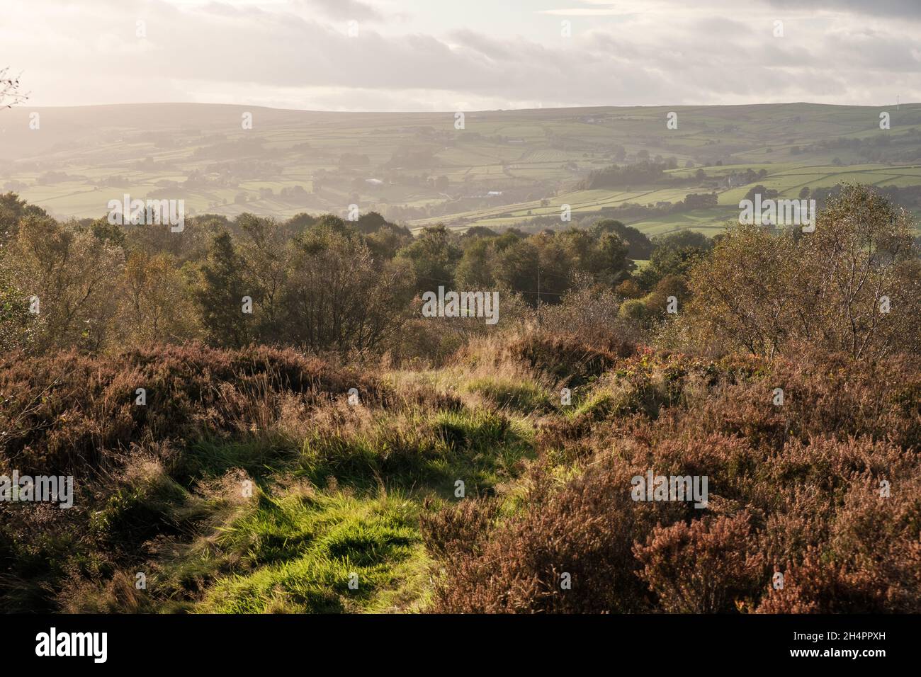 Norland moor hi-res stock photography and images - Alamy