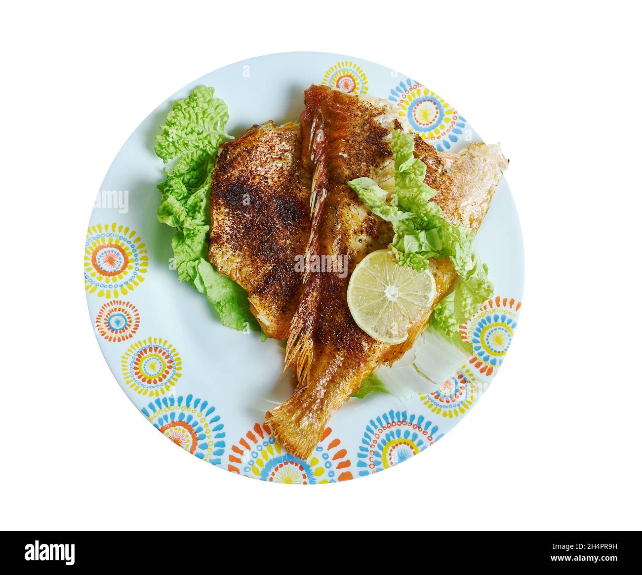 Red pacu hi-res stock photography and images - Alamy