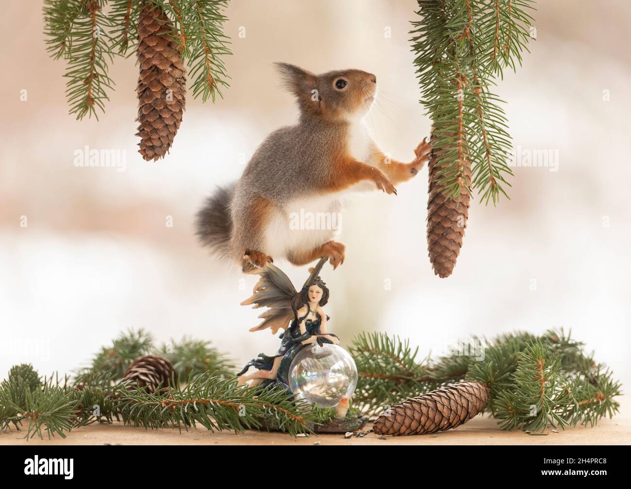 Fairy tale squirrel hi-res stock photography and images - Alamy