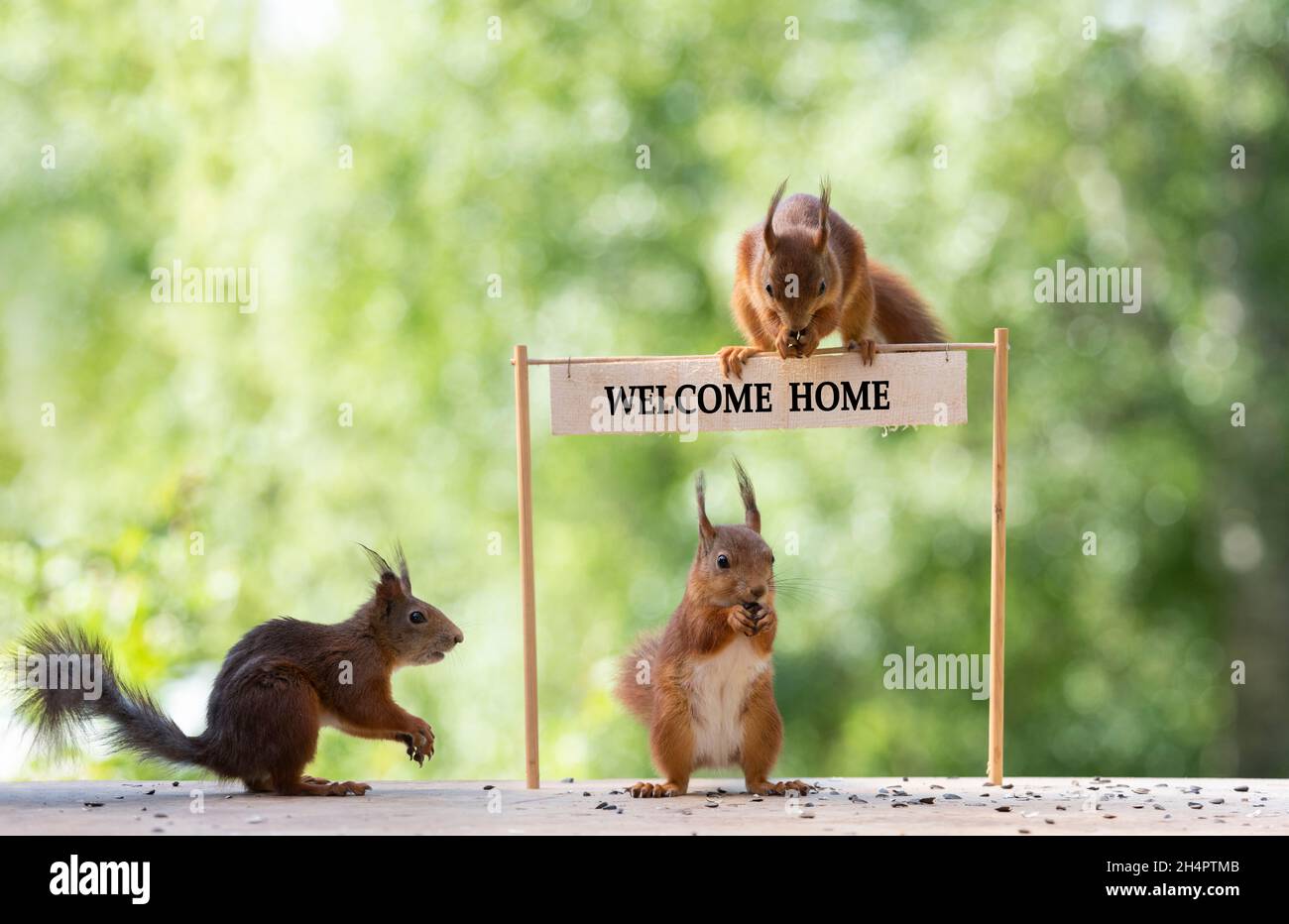 Welcome home sign hi-res stock photography and images - Alamy