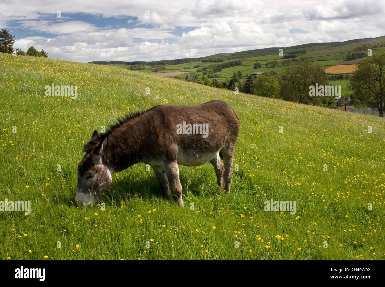 Moniaive, dumfries and galloway hi-res stock photography and images - Alamy
