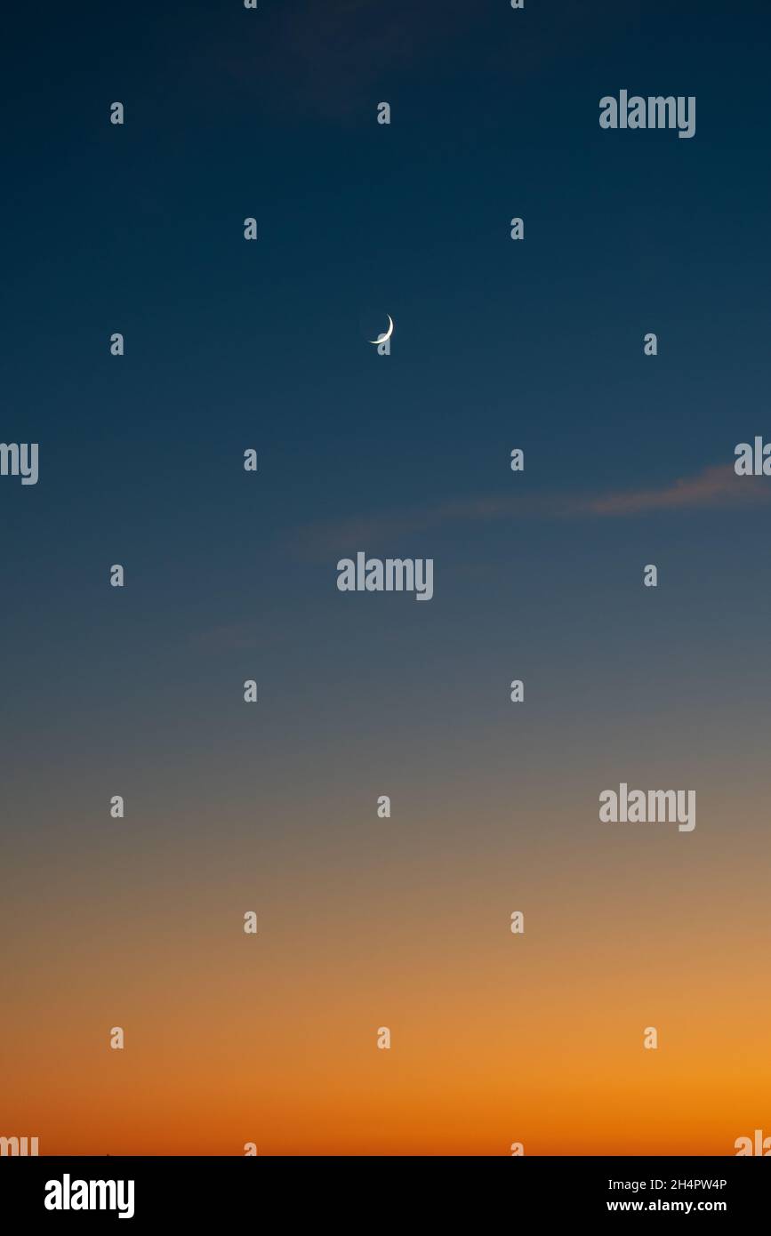 Texas crescent hi-res stock photography and images - Alamy