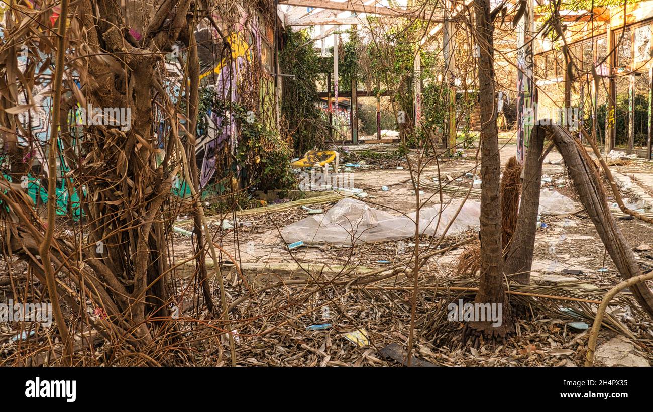 lostplace in berlin's blubb. back then a swimming pool experience and ...