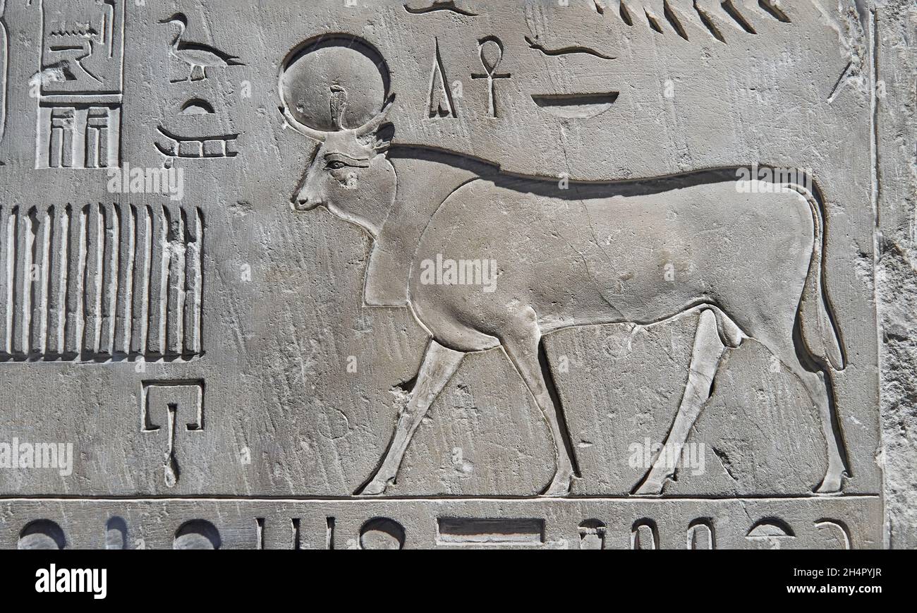 Ancient Egyptian stele of the bull deity Apis deth during the raugn of ...