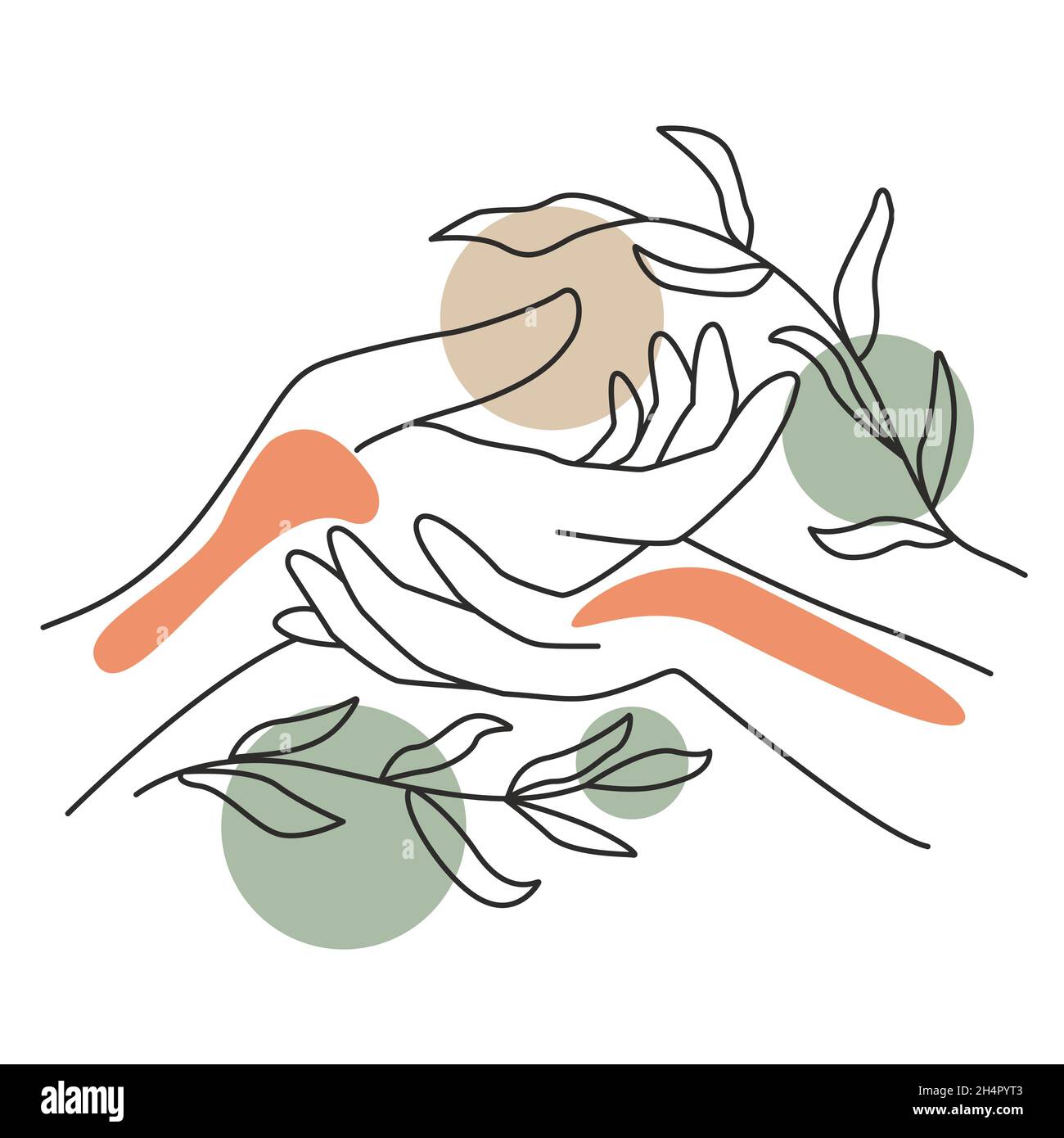 Female hands line art. The contours of human hands with twigs with ...