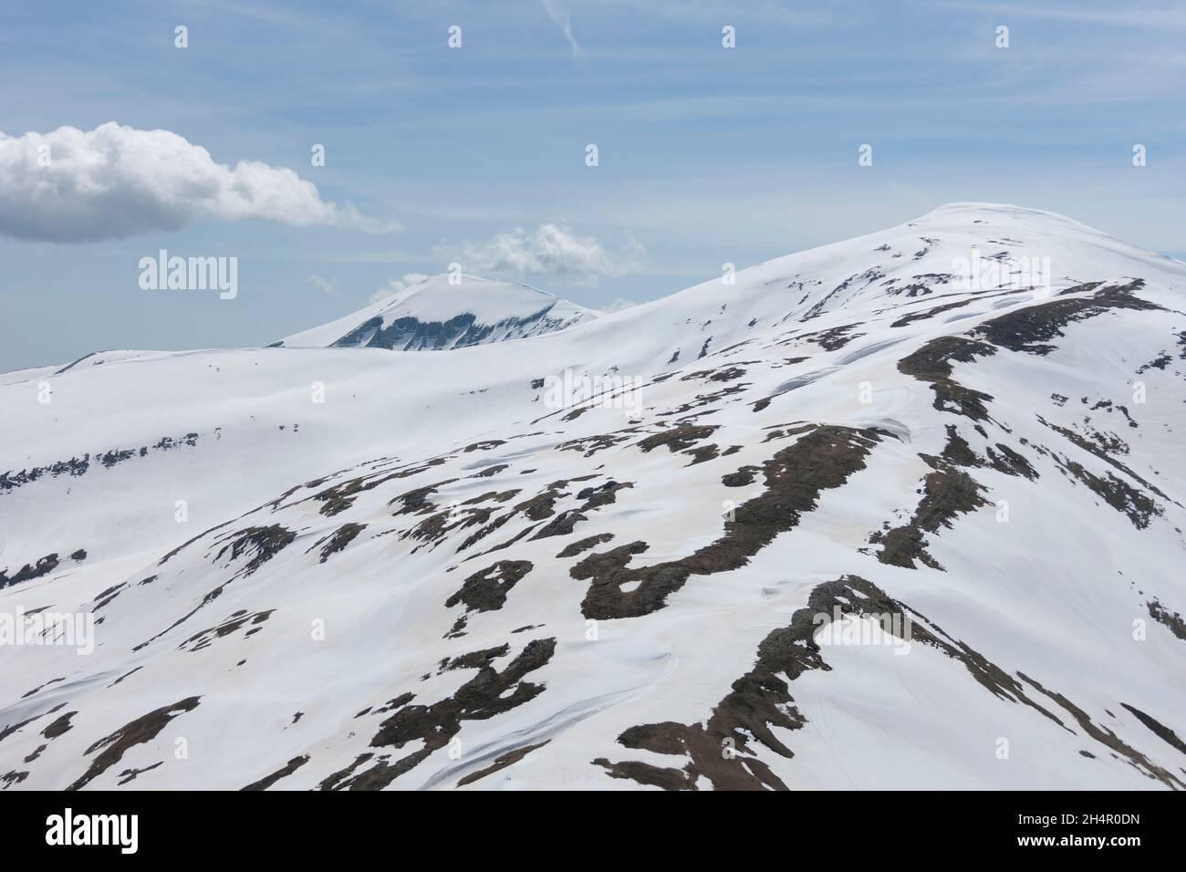 Cima lepri hi-res stock photography and images - Alamy