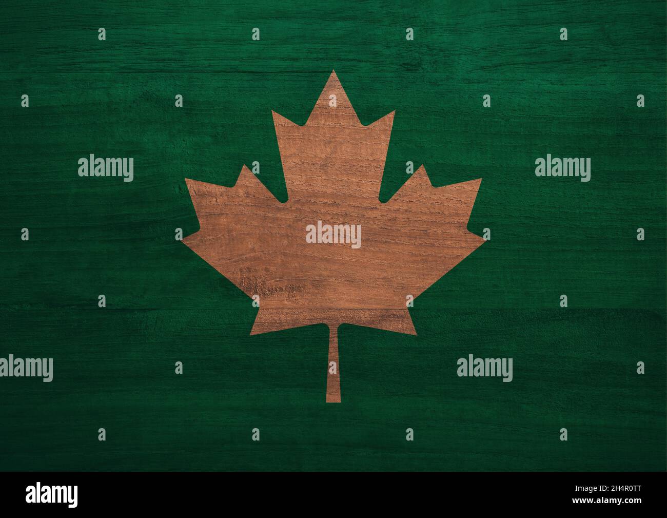 minimal design of the maple leaf popular canadian symbol. Bright color ...