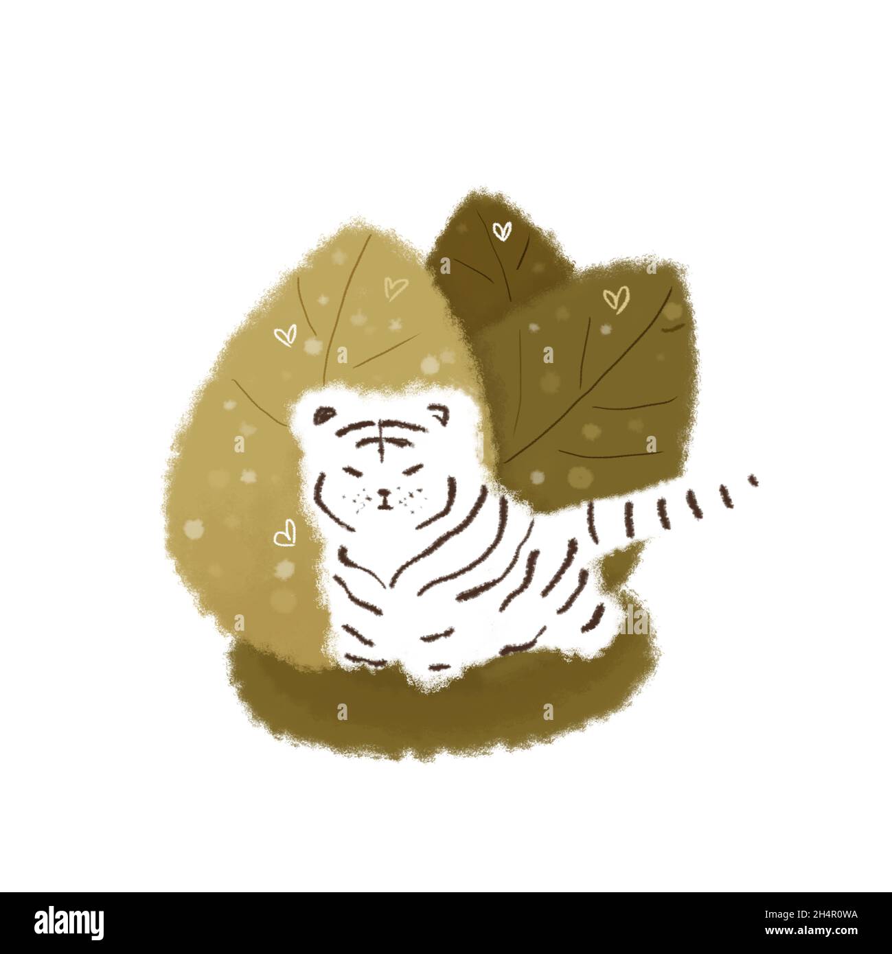 Cute little white tiger hand drawn illustration Stock Photo - Alamy