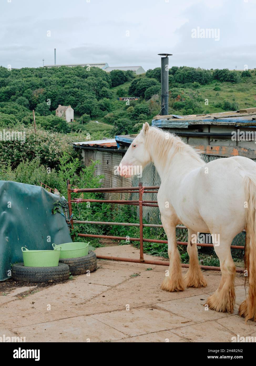 Skinningrove allotments hi-res stock photography and images - Alamy