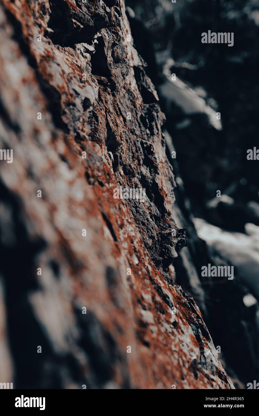 Orange moss on the side of a mountain Stock Photo - Alamy