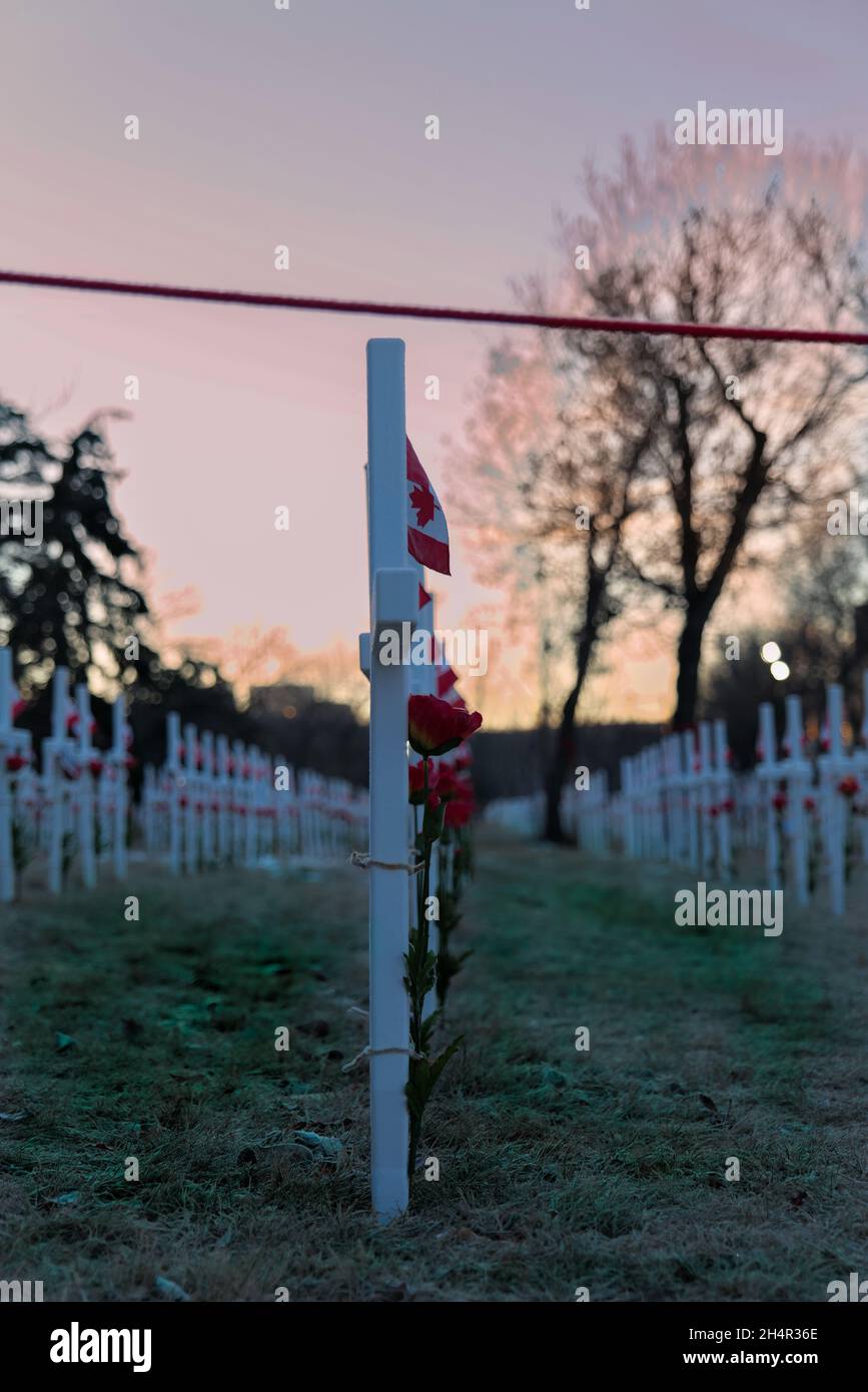 Rows of crosses at the Field of Crosses Calgary Alberta Stock Photo - Alamy