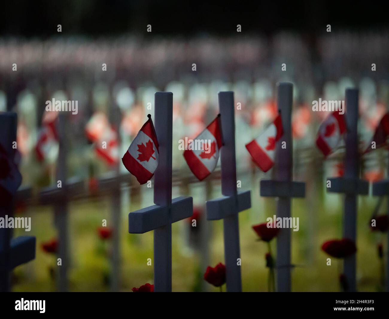 Veteran canadian flag hi-res stock photography and images - Alamy