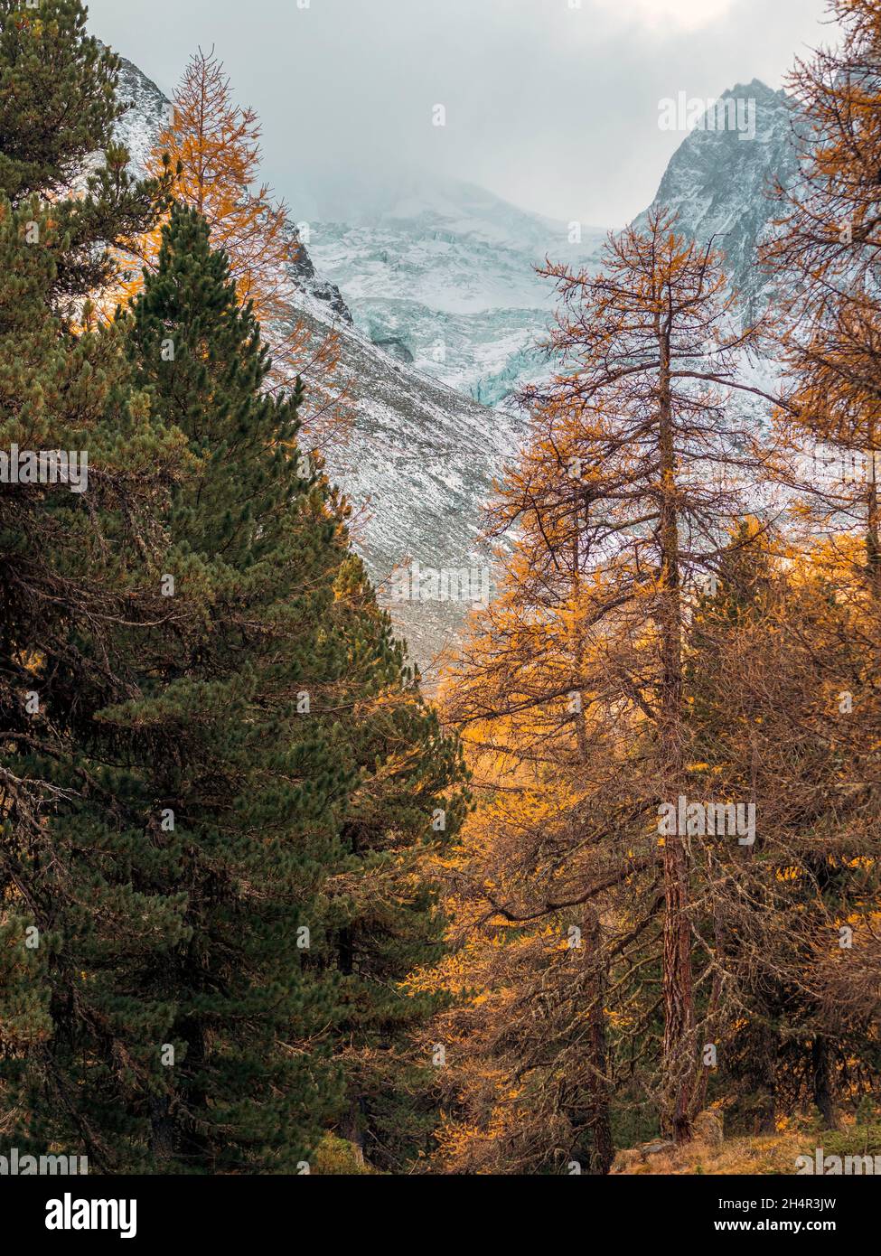 Amazing views over an high alpine valley and snow covered mountains ...