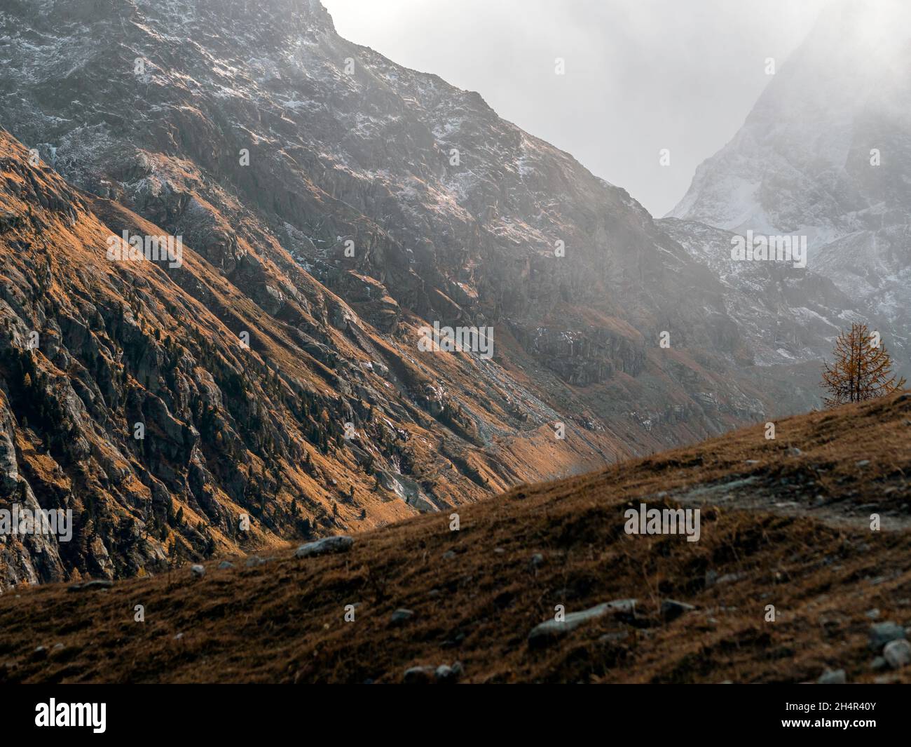 Amazing views over an high alpine valley and snow covered mountains ...
