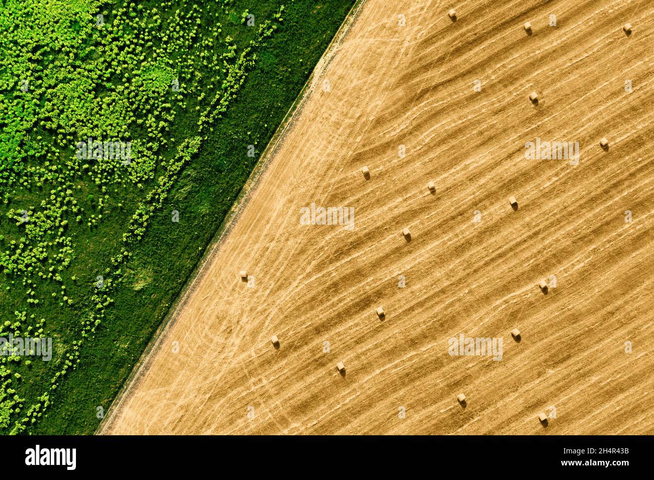 Aerial view of green and yellow fields pattern. Hay bales on ...