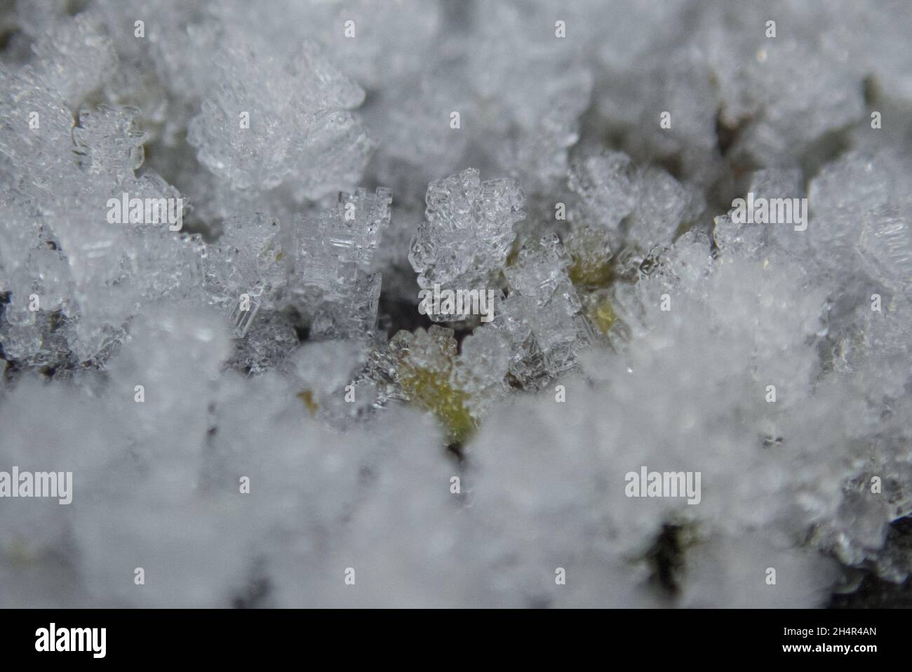 Macro shot of the ice details. Frozen ground Stock Photo - Alamy