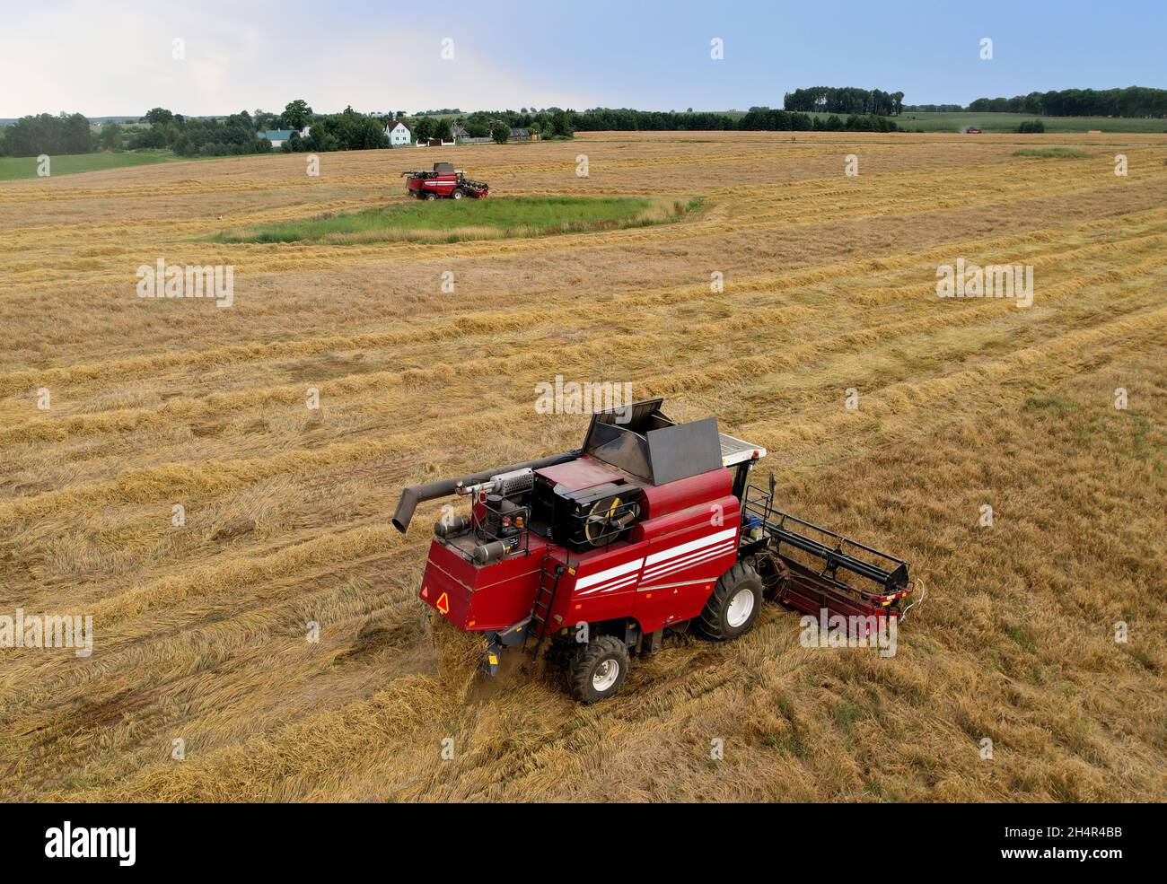 Combine harvester working in wheat field. Harvesting machine during ...