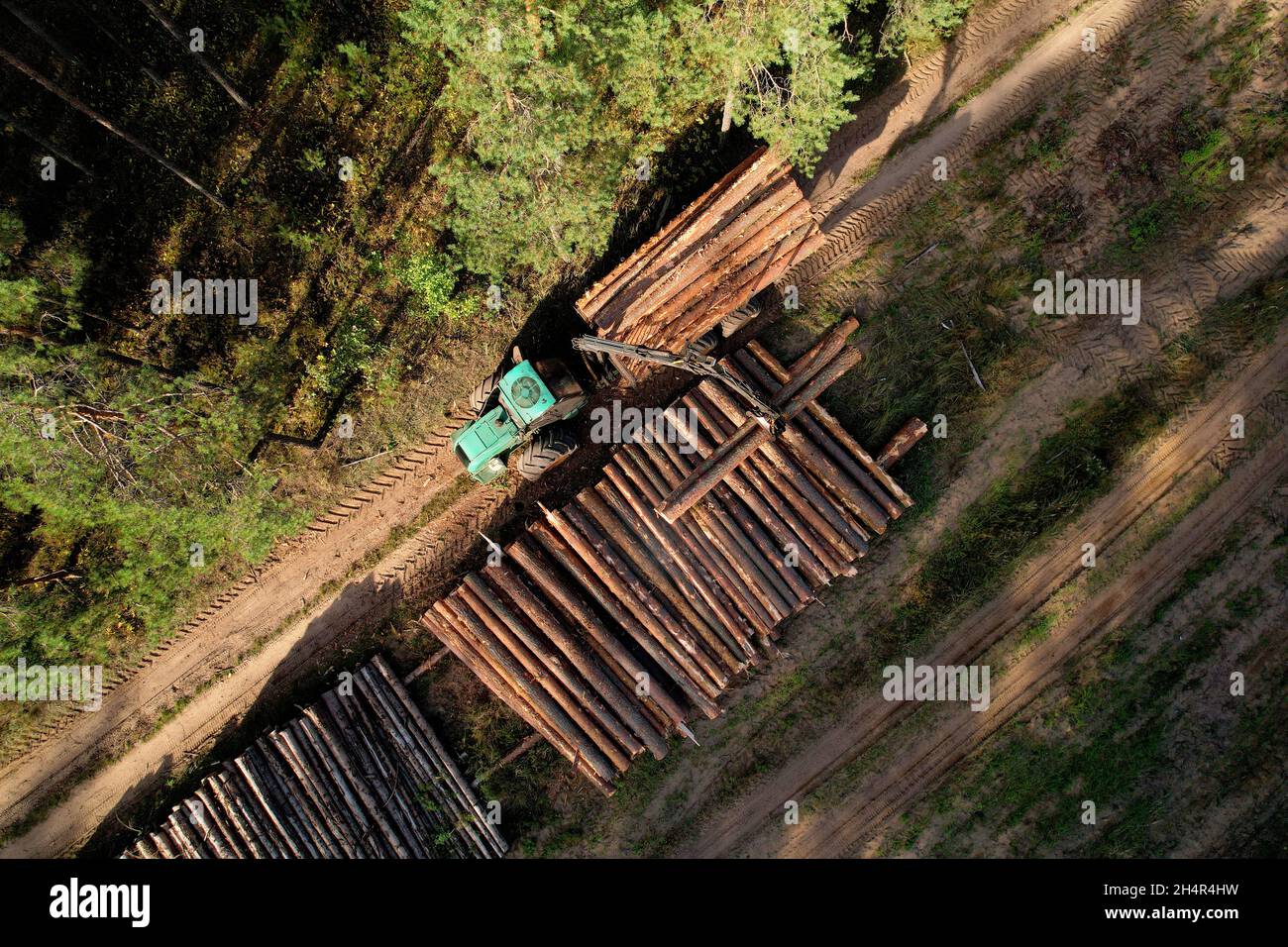 Crane forwarder machine during clearing of forested land. Wheeled ...