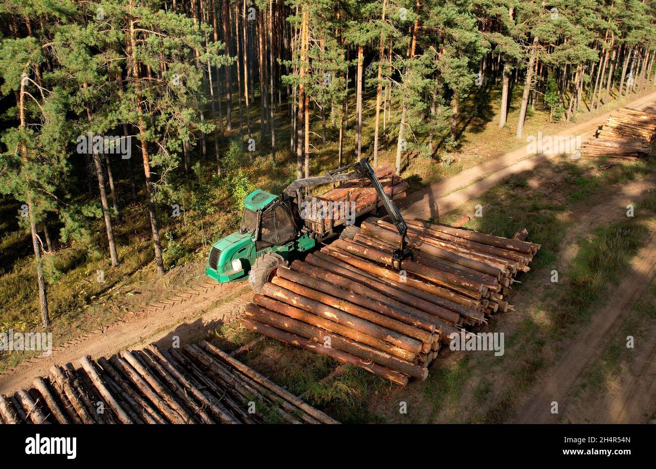 Crane forwarder machine during clearing of forested land. Wheeled ...