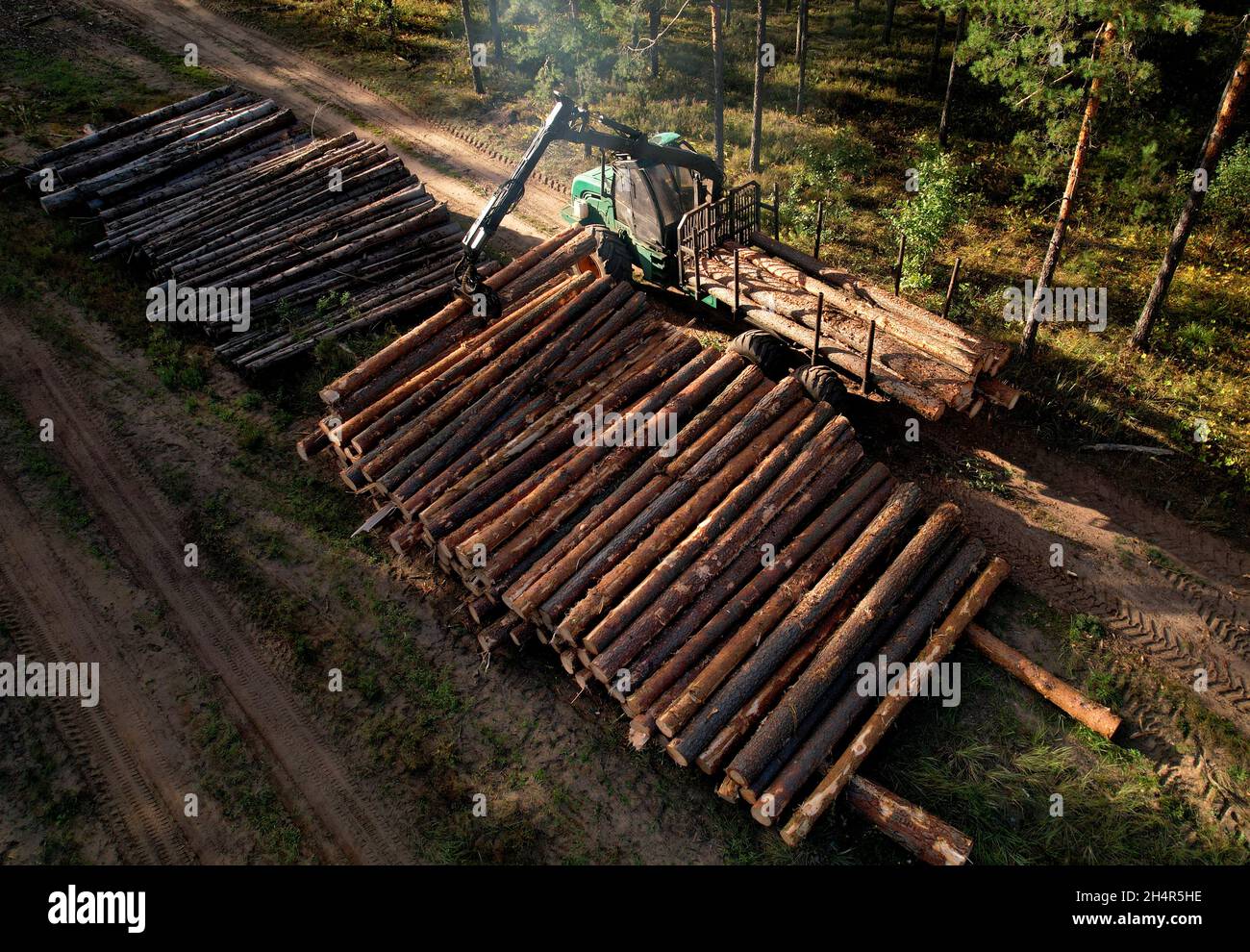 Crane forwarder machine during clearing of forested land. Wheeled ...