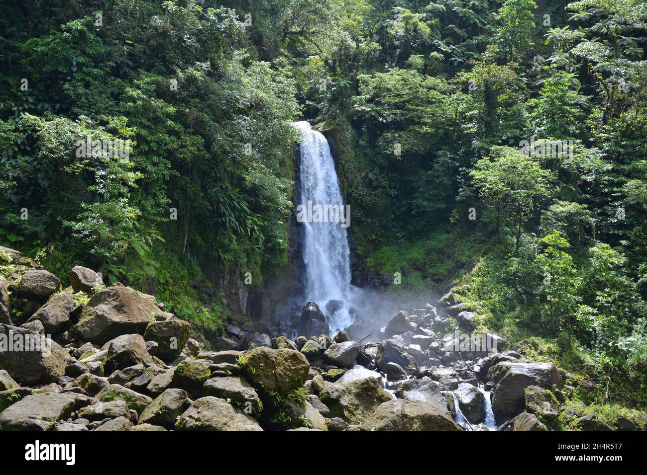 Trafalgar Falls waterfall at Dominica island rainforest, Caribbean ...