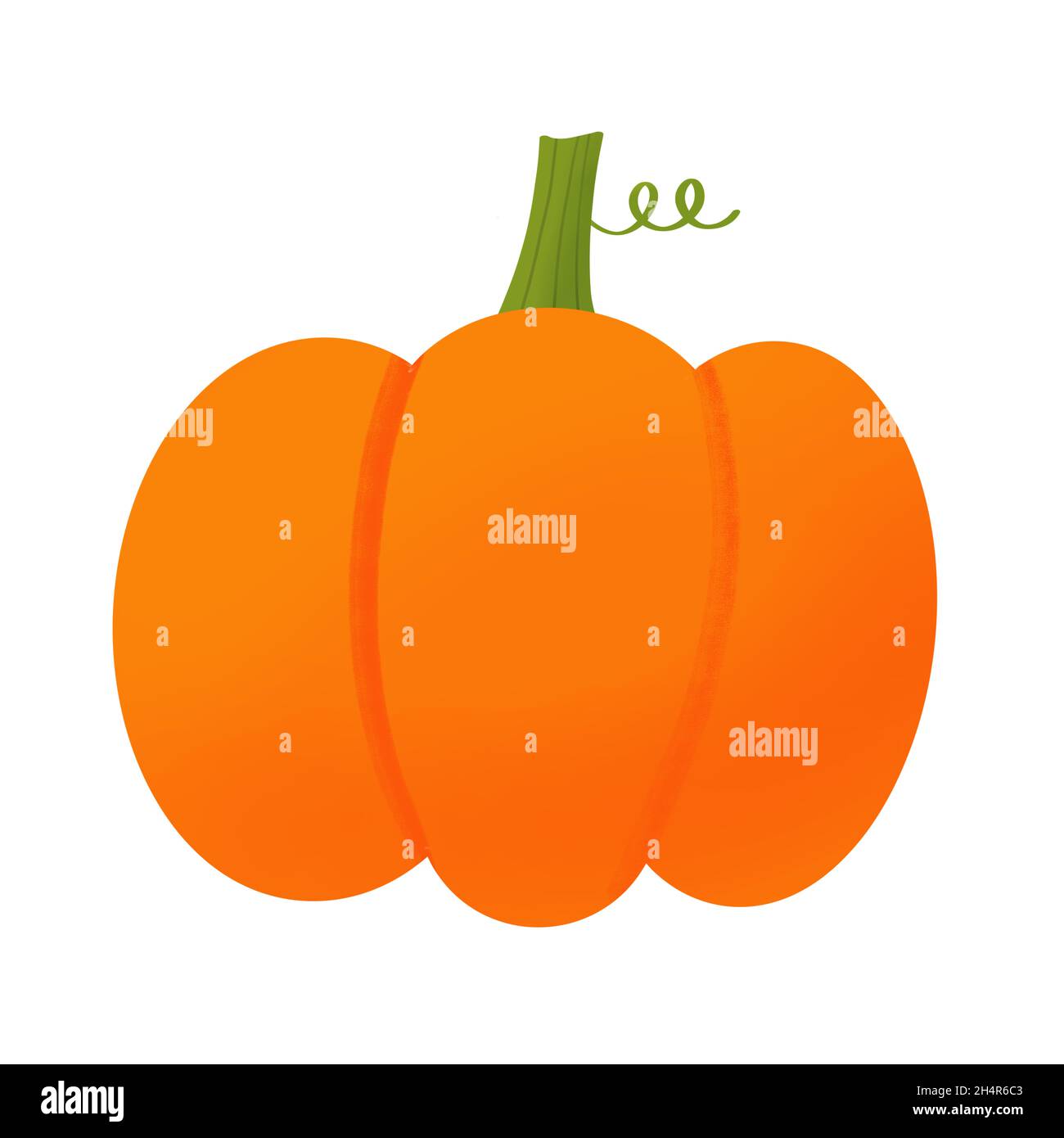 Autumn pumpkin drawing on white background Stock Photo - Alamy