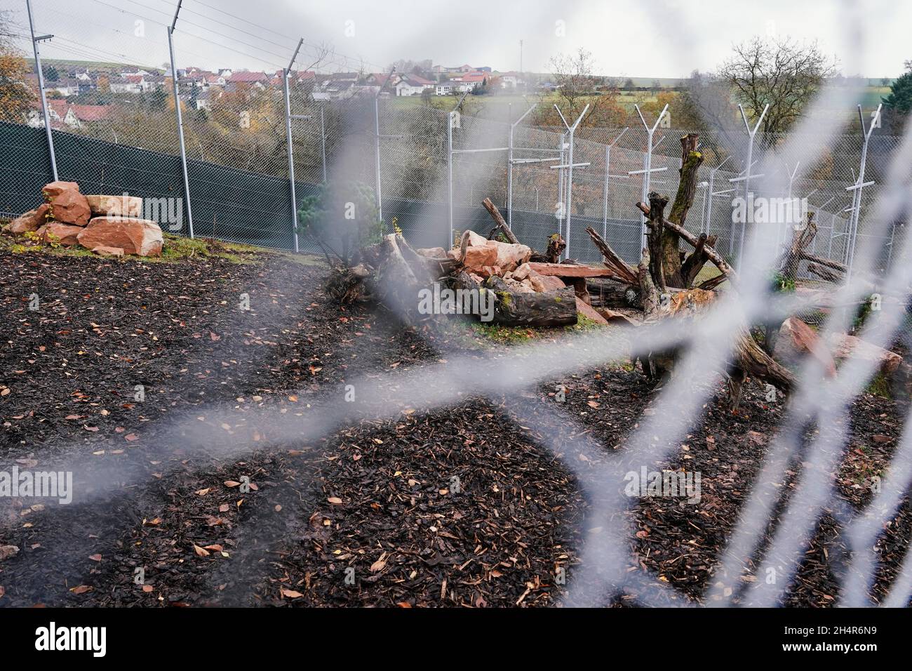 04 November 2021, Rhineland-Palatinate, Maßweiler: View through the ...