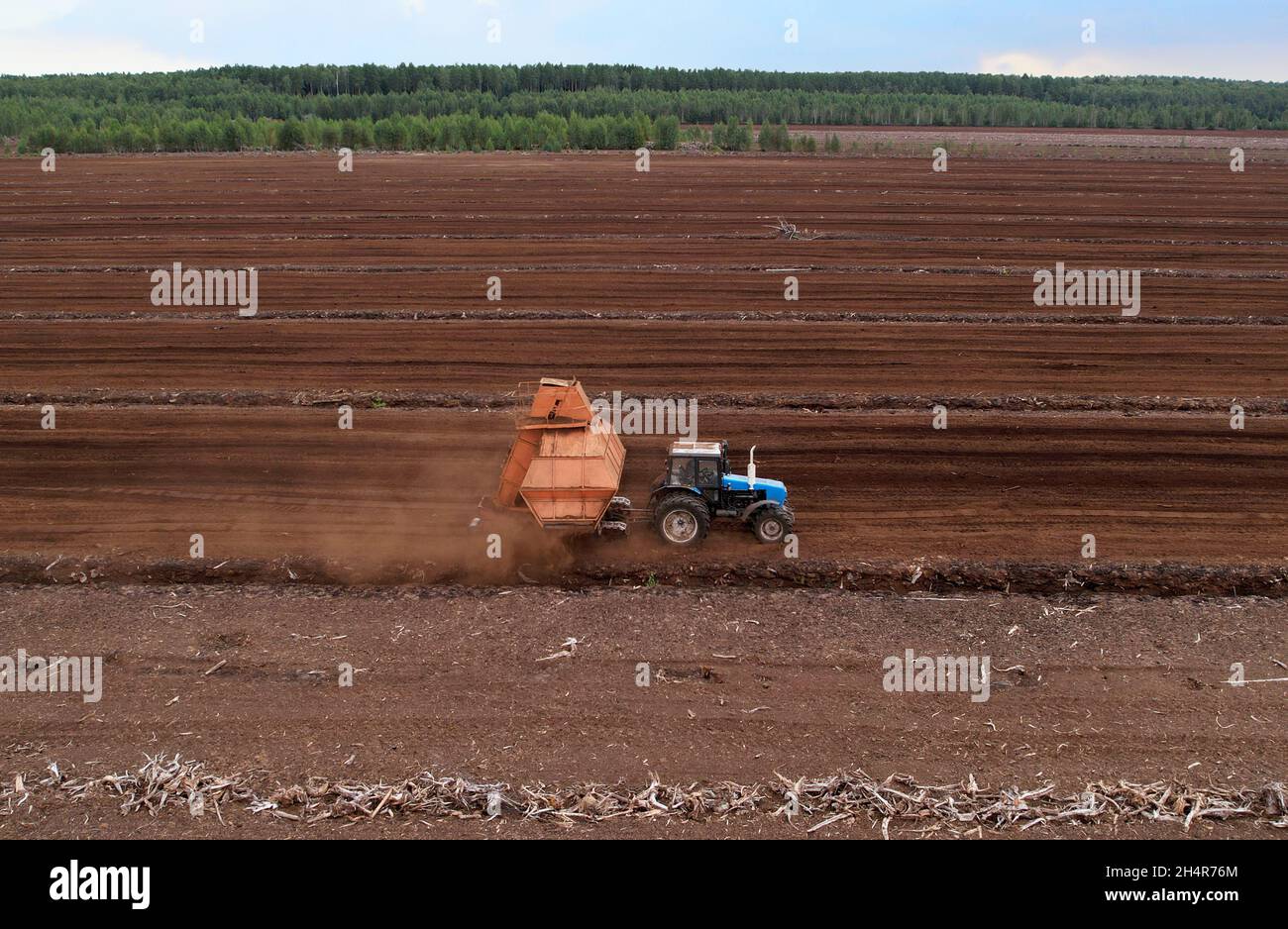 Peat Harvester Tractor on Collecting Extracting Peat. Mining and ...