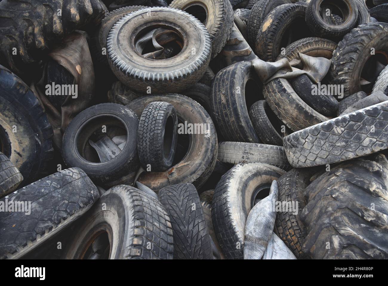 Landfill with old tires and tyres for recycling. Reuse of the waste ...